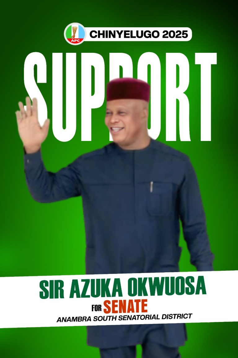 Azuka Okwuosa: A Vision for Transforming Anambra South through ...
